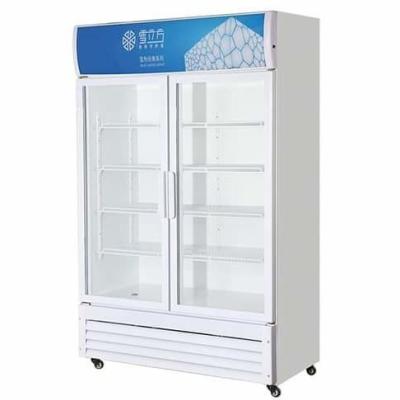 Cina Il tipo di esposizione economico delle doppie porte di vetro refrigera e conserva il gabinetto della birra di freschezza per le bevande in vendita