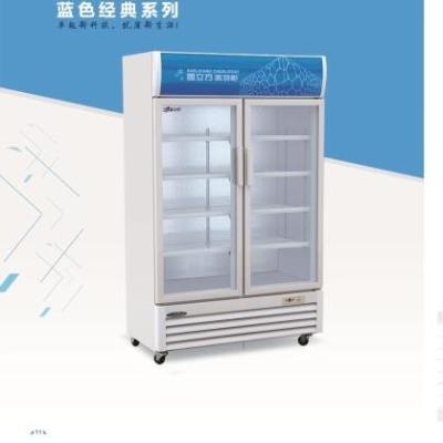 Cina Congelatore commerciale del congelatore della famiglia di grande capacità del frigorifero del laboratorio della doppia porta di alta qualità della Cina in vendita