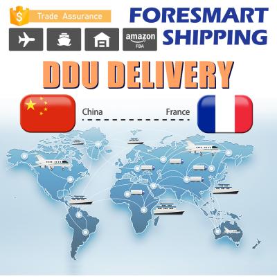 Cina Un trasporto di Diretly DDU di servizio di arresto, spedente dalla Cina in Francia in vendita