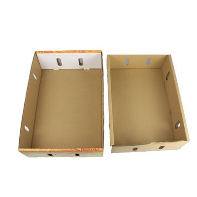 Cina L'OEM ha ondulato Kiwi Fruit Packing Box W9 per rinforzare riciclabile in vendita