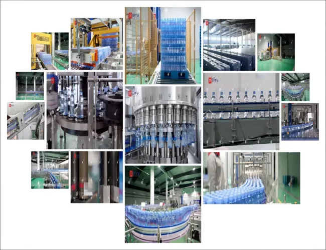 42,000bph Bottled Water Production Line overview