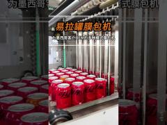 OEM différents modèles de la machine d‘emballage à film thermique peuvent être achetés pour les clients mexicains