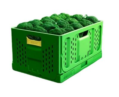 Cina Logo personalizzato Cassa di stoccaggio in plastica pieghevole verde per verdure e frutta in vendita