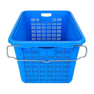 Cina Cassa agricola in plastica blu eco-compatibile con lato ventilato e maniglia di ferro in vendita