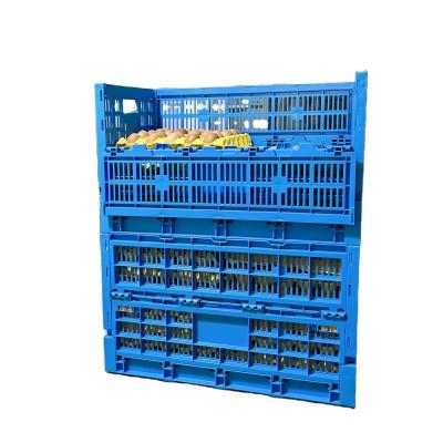 China Caixas de plástico dobráveis com função de armazenagem para transporte de frangos e armazenamento de ovos à venda