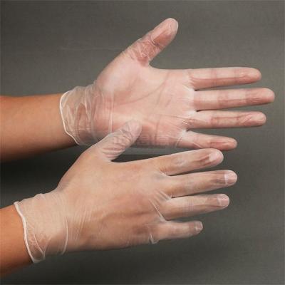 Chine Cleanroom Gloves Disposable Powder Free ESD PVC Glove à vendre