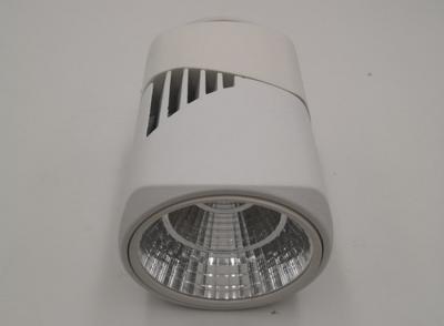 Cina una superficie da 21 watt montata ha condotto i riflettori bianco 40 gradi alloggiando non la direzione di Dimmable rotabile in vendita