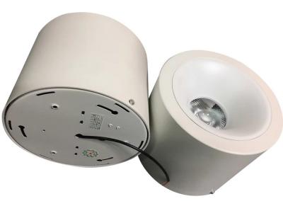 Cina La superficie della pannocchia di Philips montata ha condotto i riflettori, angolo direzionale del fascio stretto delle luci 20w del punto CRI90 in vendita