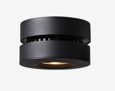 Cina Il giro dell'interno decorativo 25w sorge i punti montati illuminazione del museo di 80mm x di 120 in vendita