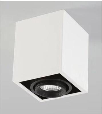Cina La superficie montata ha condotto i riflettori, quadrato Downlights principale montato superficie del soffitto di 30W CRI90 in vendita