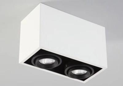Cina La superficie bianca della testa del doppio montata ha condotto i riflettori 60W 5000lm, contenitore leggero di supporto della superficie in vendita
