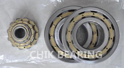 Cina Cuscinetto a rulli del cilindro di lunga vita di N1013 N1040K 15-1200mm per l'attrezzatura per la pesca in vendita