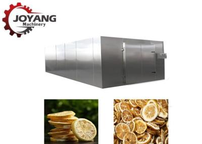 Cina Macchina dell'essiccatore dell'aria calda del limone della pompa termica, attrezzatura di disidratazione della frutta in vendita