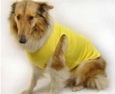 China 100% van de Katoenen van het vestkleren de Zomer middelgrote Hond de gele kleur voor collie Te koop