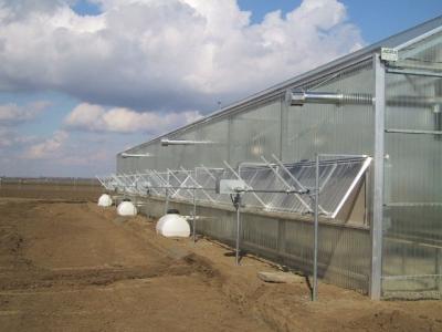 China Customized Plastic Film Greenhouse Structure with Shading Rate 20%-90% Te koop