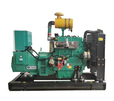 Cina 50KW Biogas Generator Set Open Type Silent Type in vendita
