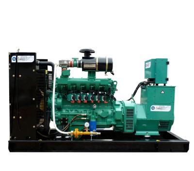 Cina Nature Gas Biogas LPG Gas Generator in vendita