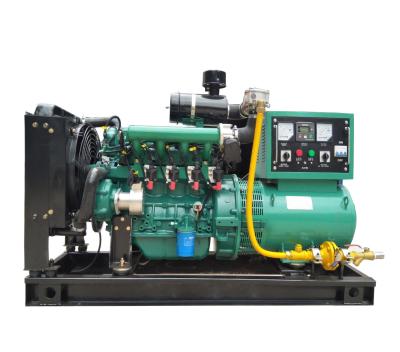 Cina 10-800KW Natural Gas Generator Set in vendita