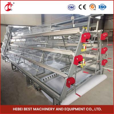 중국 ISO14001 인증 자동 브로일러 치킨 케이지 시스템 판매용
