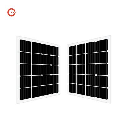 Chine Module monocristallin en verre transparent de picovolte de panneaux solaires de la CE BIPV de Rixin à vendre