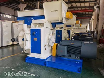 Chine 2 moulin en bois en bois de granule de la machine DRZL650 de presse des rouleaux 3.5t/H à vendre