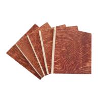 Quality Outdoor Plywood Shuttering Sheets 3mm Birch Plywood Artificial Veneer for sale
