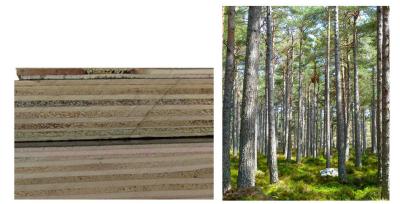 Glue Melamine 12mm Plywood Template Comercial Shutter Plywood 18mm