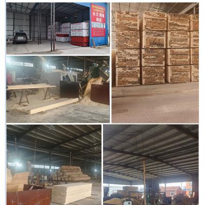 Black Birch Ply 18mm 21mm Birchwood Plywood Template 1250x2550mm