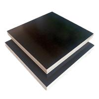 Quality Black Birch Ply 18mm 21mm Birchwood Plywood Template 1250x2550mm for sale