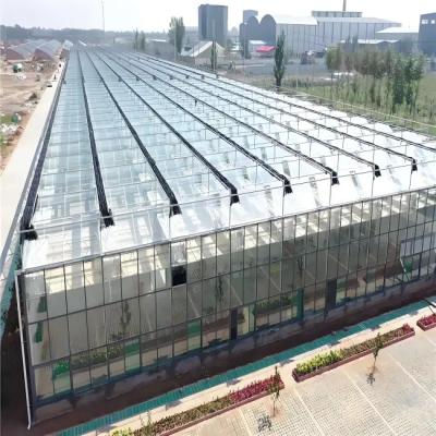 China Intelligent Temperature-Controlled Venlo-Type Glass Greenhouse Equipped with Precision Irrigation and Environmental Monitoring Systems for sale