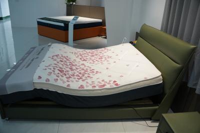 Zero Gravity Memory Foam Bed Mattress , Medium Firmness Mattress With Motion