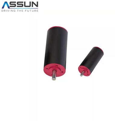 Cina 24V,36V,12V Brushless DC Motor,,20mm diameter,51mm Length,15000-25000rpm in vendita