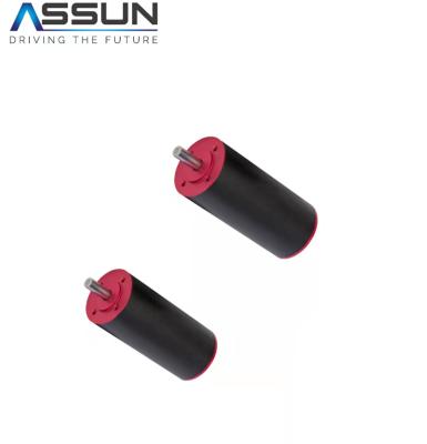 Cina diametro senza spazzola del motore 25000rpm 20mm di 36V 24V 12V Coreless in vendita