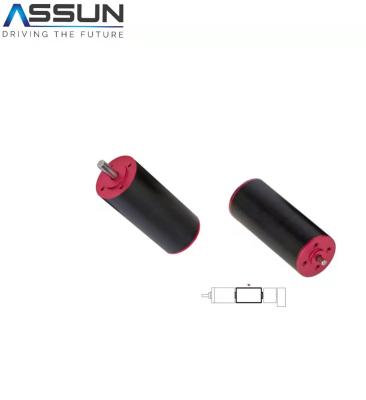 Cina Diametro Mini Coreless Dc Motor 12V 18V 24V 10000rpm di ASSUN 24mm in vendita