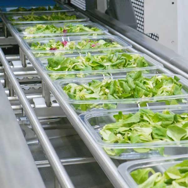 Fresh Vegetables Packaging Machine - Side View