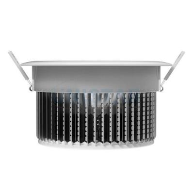 Cina LED messo 20W Downlight, Cree LED giù che si accende per i centri commerciali, supermercati, cucina in vendita