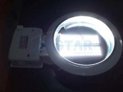 Cina Luce 11W 100Lm di G24 LED del risparmio energetico 4Pin per i centri commerciali in vendita