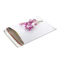 Quality Delivery Package Self-Adhesive Cardboard Envelope with 350mic to 700mic Thickness for sale