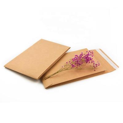 Express Packing Kraft Paper V Bottom Gusset Seam Recycled Custom Shipping