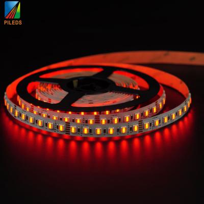 Cina Flex LED per prestazioni durature DC24V Smd 5050 5 in 1 in vendita
