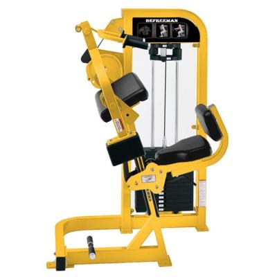 Cina Macchina per il tricipito per l'allenamento di forza Bicip Curl/Tricip Extension in attrezzature per palestra in vendita