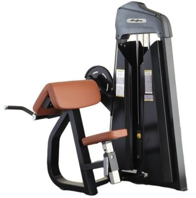 Cina Equipaggiamento commerciale per allenamento di forza per palestra Bicep Curl Machine con design personalizzato in vendita
