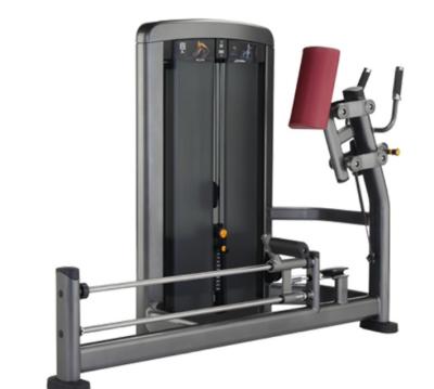 Cina Attrezzature per la palestra per la costruzione di quadricipiti Medio caricatore Standing Glute Kickback Estensione in vendita