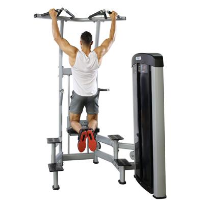 China Staal Pin geladen trekbar Triceps Deltoids Workout Assisted Chin Dip Machine voor staal Te koop