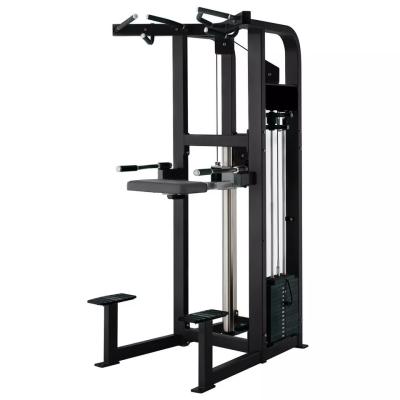 China Gepersonaliseerde logo pin geladen fitness geselecteerde assistent dip kin machine voor bodybuilding 262kg Te koop