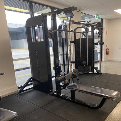 China Medium Loader Befreeman Zittend Pin geladen Lat Pulldown Machine Low Row Machine Te koop