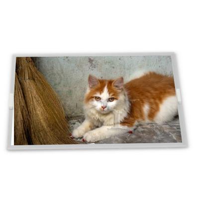 China 8 Polegadas 800*1280 A-Si TFT-LCD B080EAN04.5 CÉLULA à venda