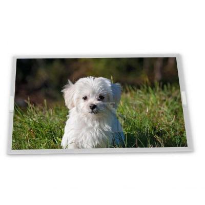 China 3.5-Inch WLED TFT LCD Display Module with 320*240 Resolution LED Backlight Panel I2C Interface Specific Application ODM Supplier for sale