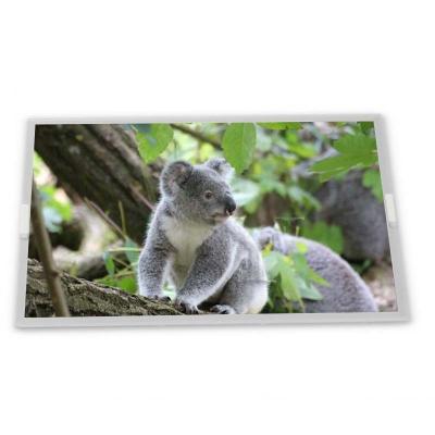 China G101UAN02.0 New 10.1-inch Full View IPS LCD Display High Brightness LED Backlight Outdoor Use SPI LVDS Interface LCD Panel for sale