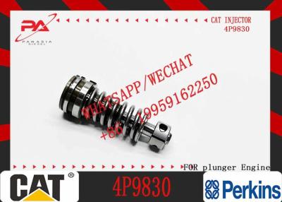 China Excavator Plunger 4P-9830 CAT 3306B 3306 Diesel Fuel Injection Pump Element Plunger 4P9830 1W6541 for sale